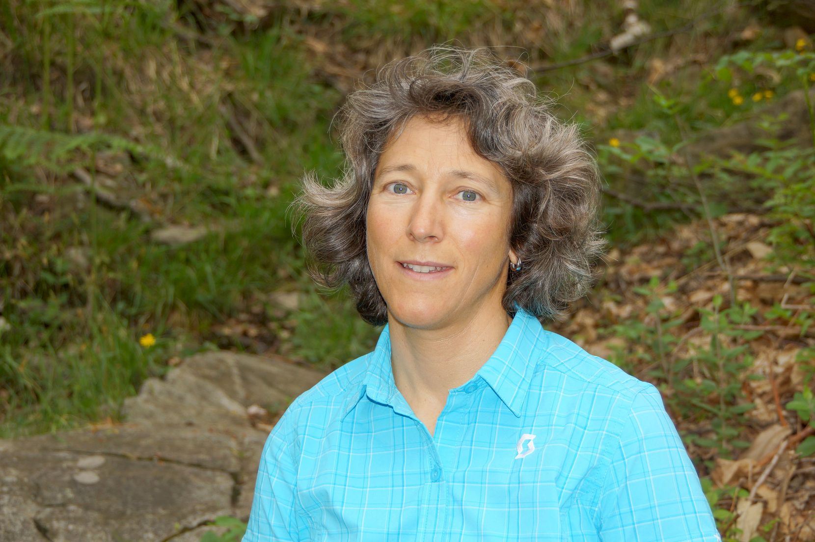 Glückskäfer gegen Schädlinge | Züriost