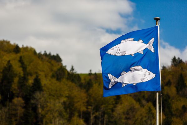 Die Fischenthaler Wasserversorgung wird reingewaschen | Züriost